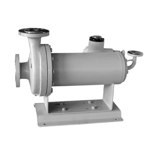 Reverse Circulation Canned Motor Pump | Hayward Tyler